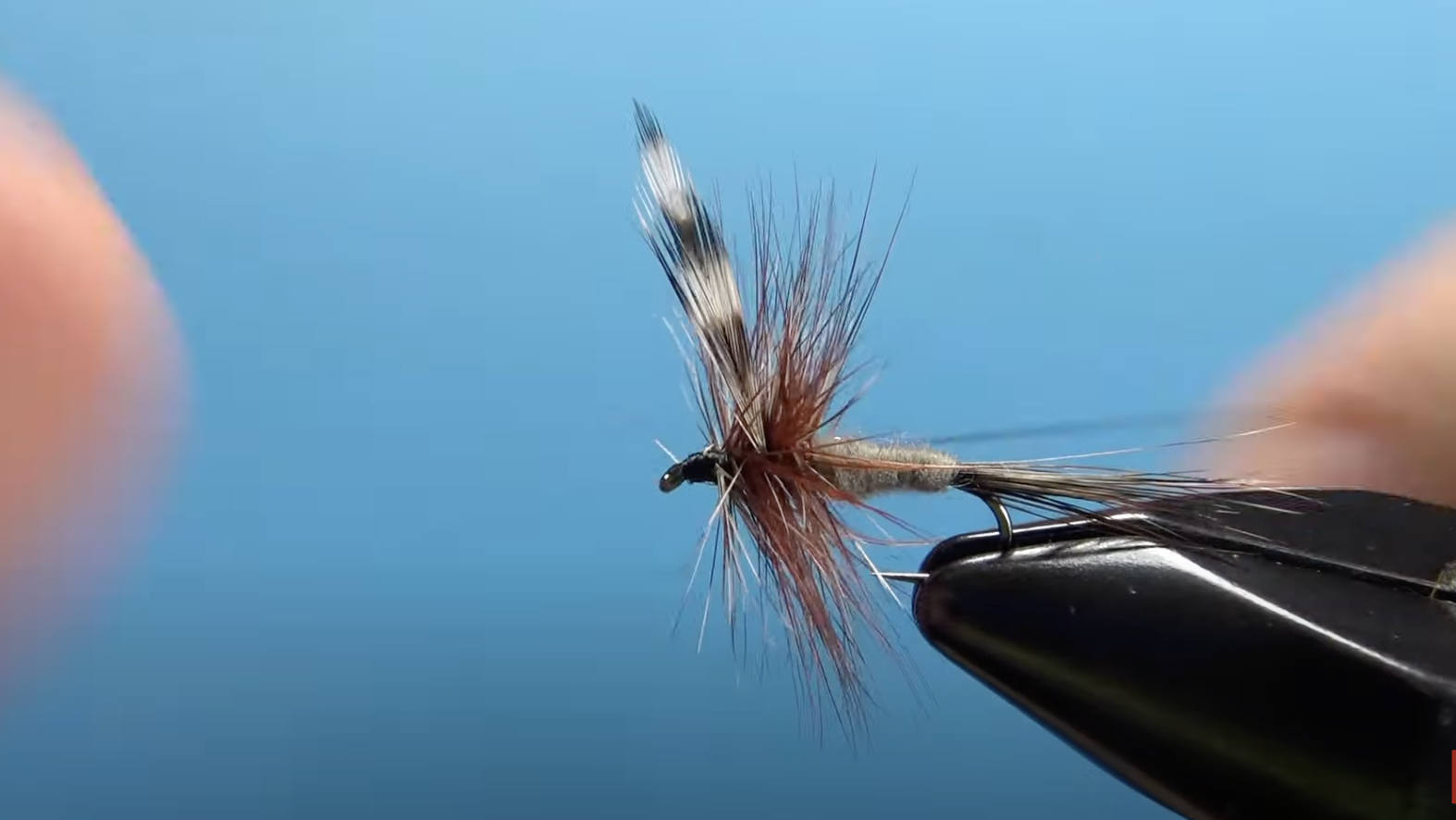 StepsbyStep Guide: Fly Tying for Beginners The Adams Dry Fly — Fly Life Media